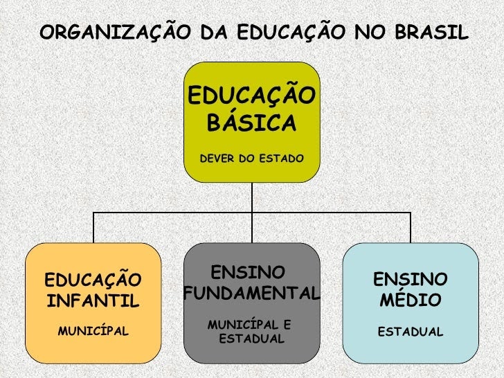 Muriele Vendrami Sobre A Educação Básica E Suas Etapas