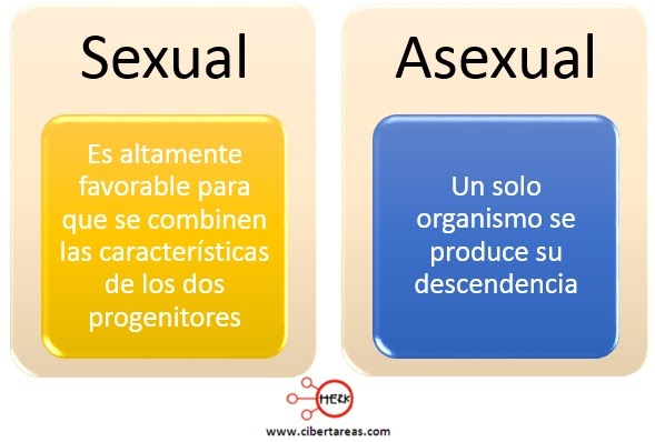 Caracteristicas Y Diferencias De Reproduccion Sexual Y Asexual