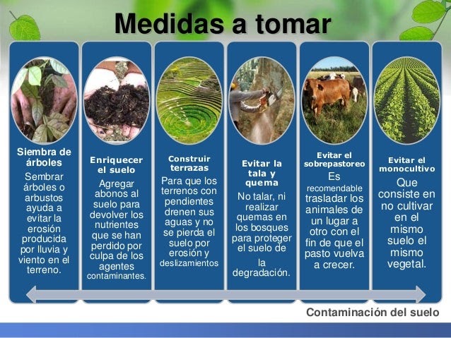 Contaminación Del Suelo Medidas Para Evitar La Contaminación Del Suelo