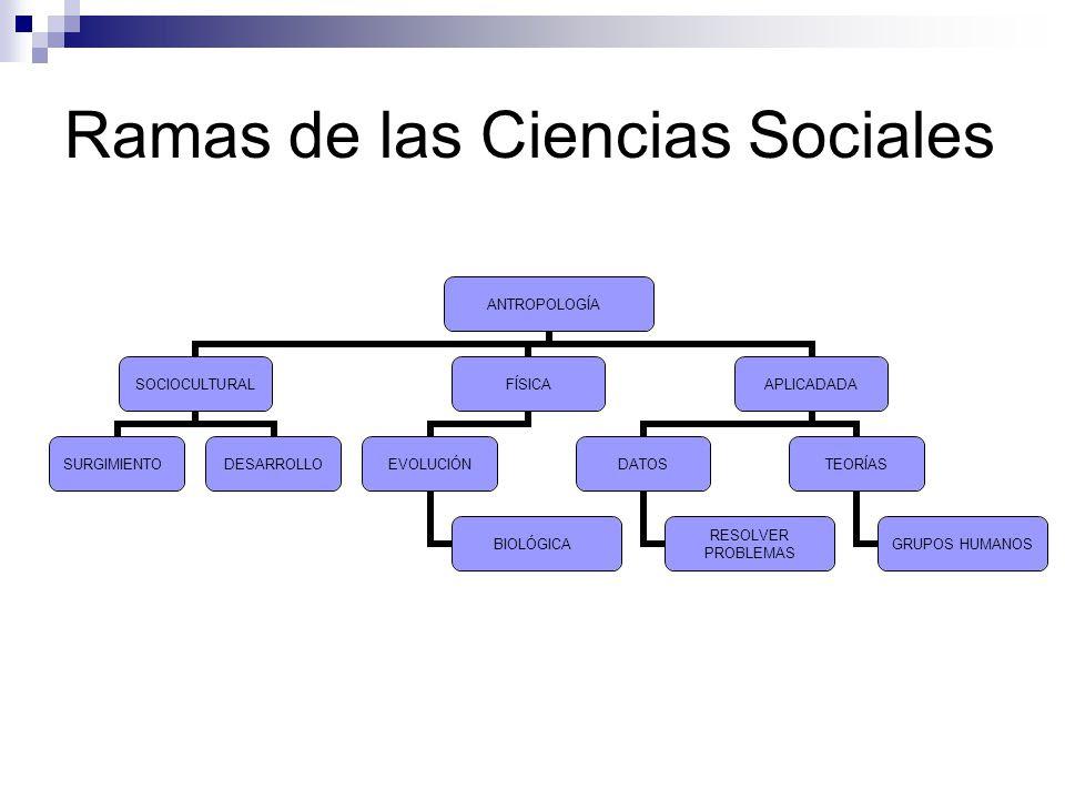 Ciencias Sociales Y Sus Ramas