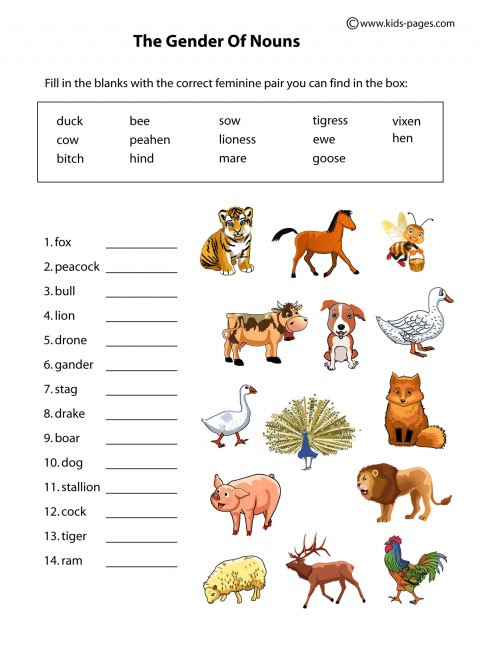 Animal Worksheet New 572 Animal Homes Worksheet Grade 2