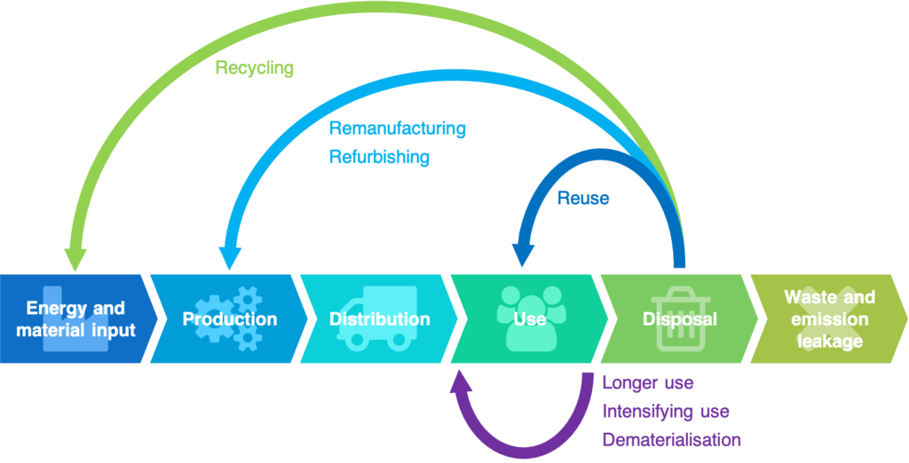 Rise Of Circular Economy And How Spore Bizs Are Embracing Sustainability