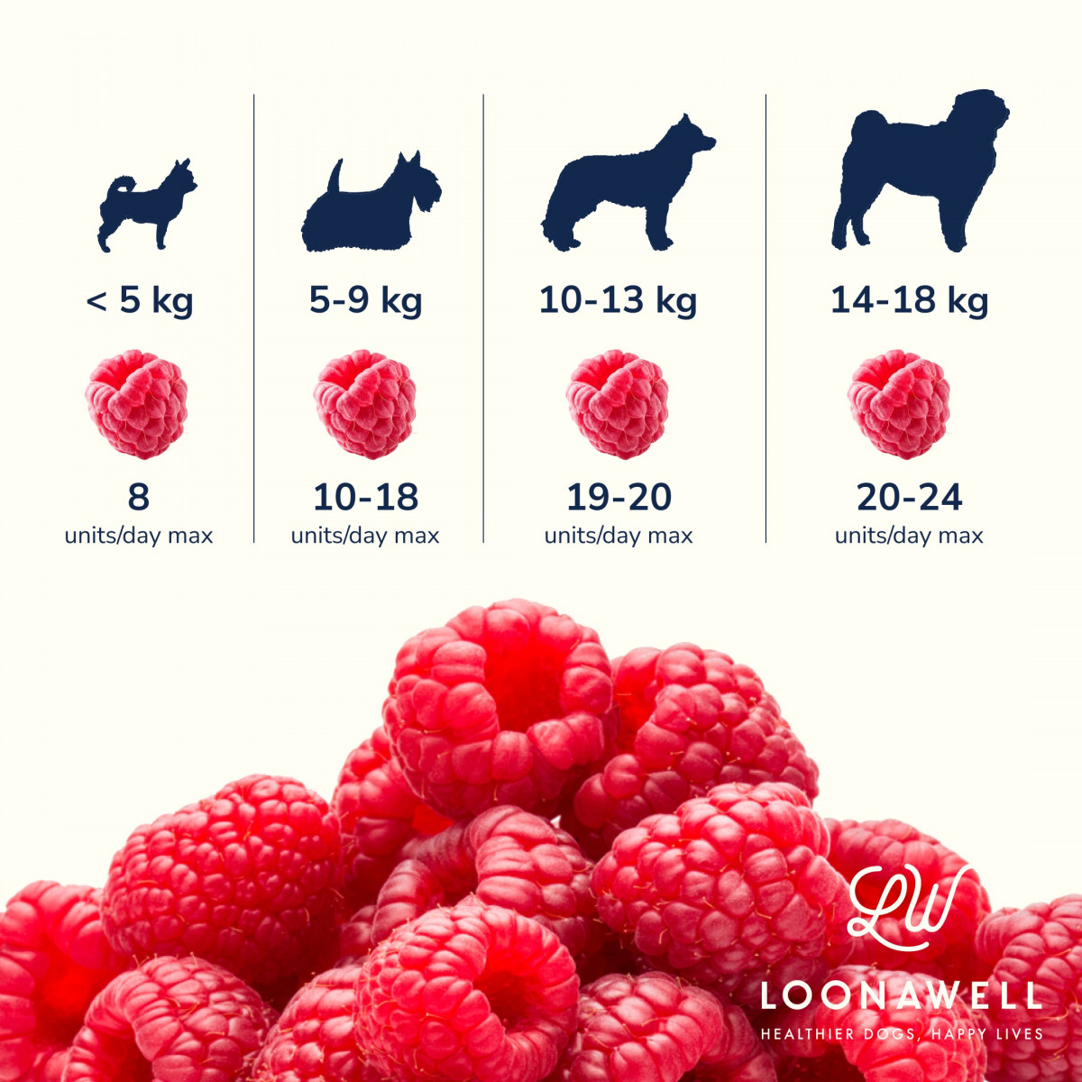 Can Dogs Eat Raspberries