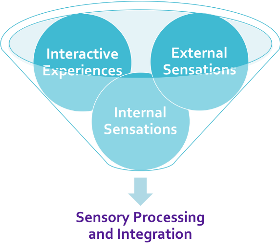 What Is Sensory Processing The Sensory Coach