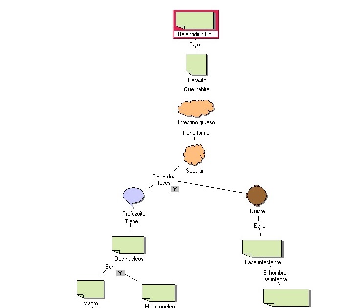 Mapa Mental Parasitologia The Best Porn Website