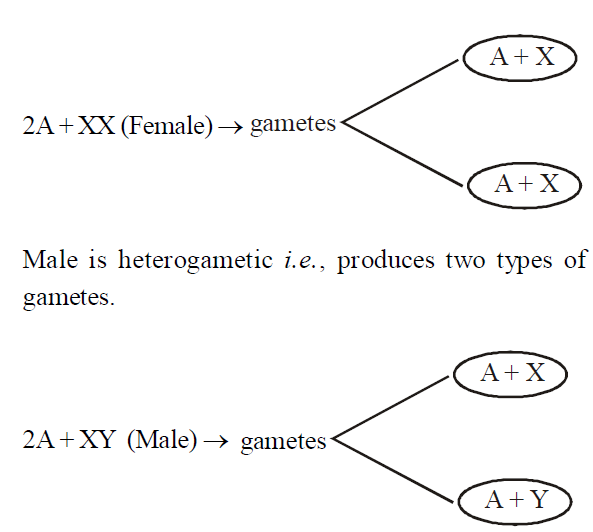 Principles Of Inheritance And Variation Biology Notes For Neetaiims