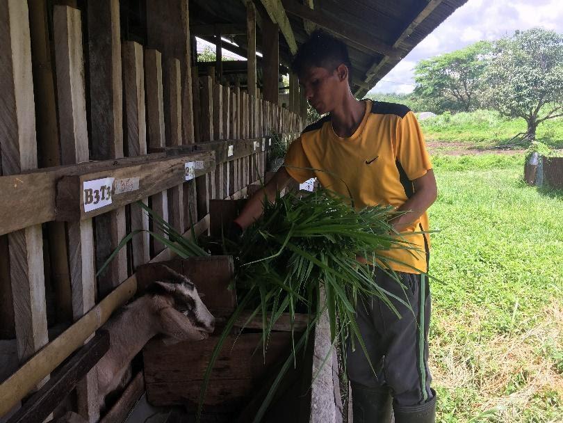 Bachelor Of Science In Agriculture Vsu Villaba Campus Visayas State