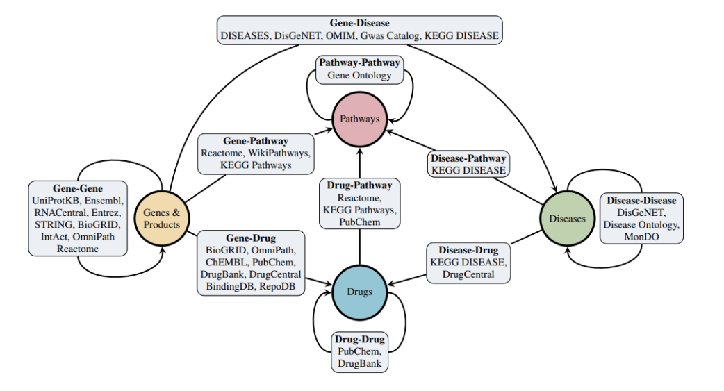 Harnessing Knowledge Graphs For Advancements In Life Sciences