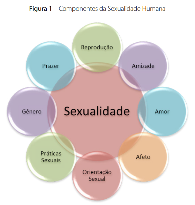 Sexualidade Humana Como Sanar Dúvidas Em Consultório