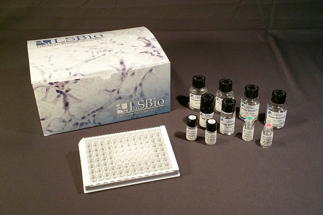 All Species His Tag Quant Elisa Kit Competitive Eia Lsbio