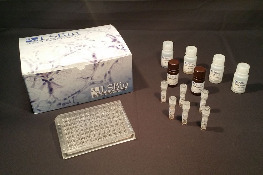 Mouse 17 Beta Estradiol Quant Elisa Kit Competitive Eia Lsbio