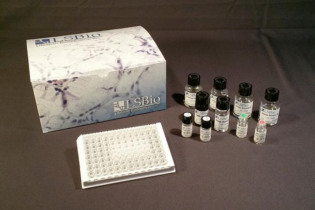 Mouse Corticosterone Quant Elisa Kit Competitive Eia Lsbio