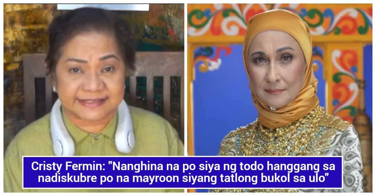 Cristy Fermin Idinetalye Ang Umanoy Naging Karamdaman Ni Cherie Gil