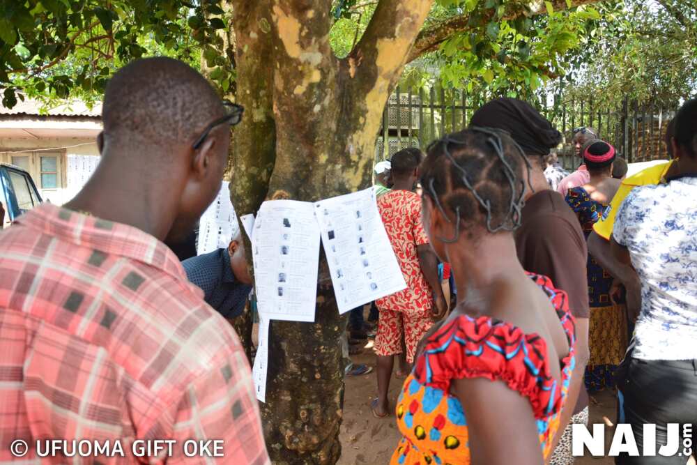 Live Updates Huge Turn Out As Voters Elect Next Governor In Keenly