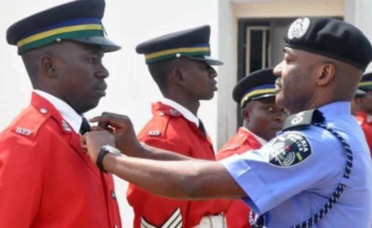 Nigerian Police Ranks And Symbols Updated 2020 Legitng