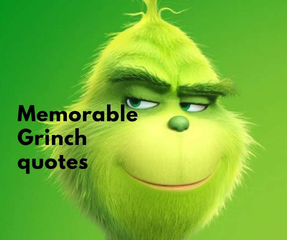 50 Memorable Grinch Quotes For People Who Absolutely Hate Christmas