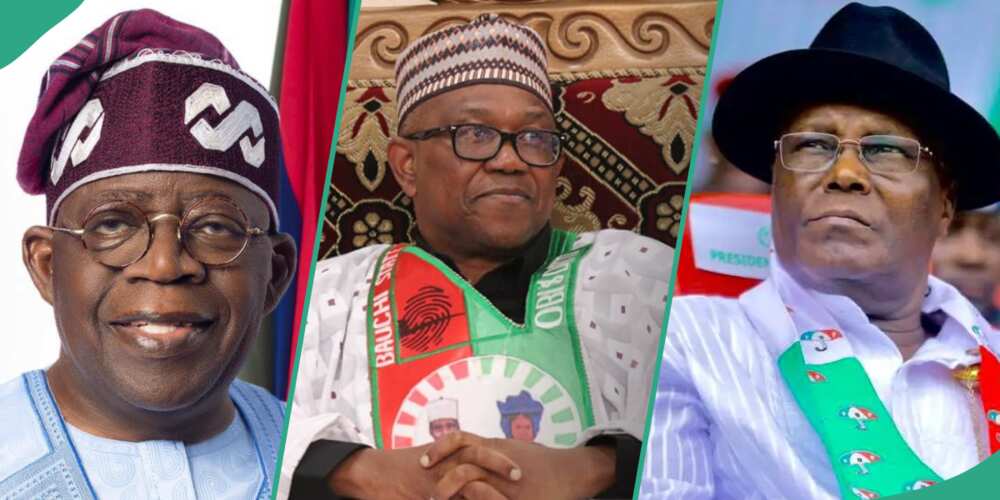 Tinubus Victory Atiku Peter Obi Told What To Do After Supreme Court