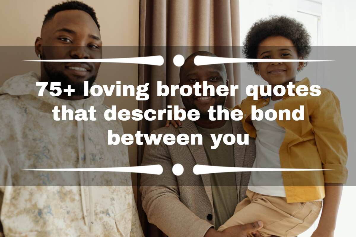 75 Loving Brother Quotes That Describe The Bond Between You Legitng