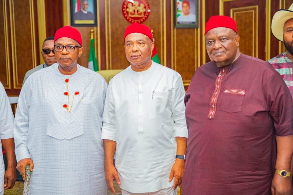 Leadership Crisis Hits Ohaneze Ndigbo Over Nomination Of Iwuanyanwu As