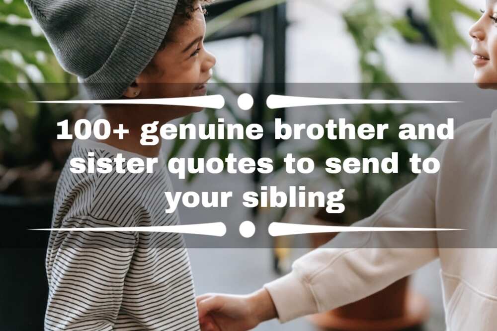 100 Genuine Brother And Sister Quotes To Send To Your Sibling Legitng
