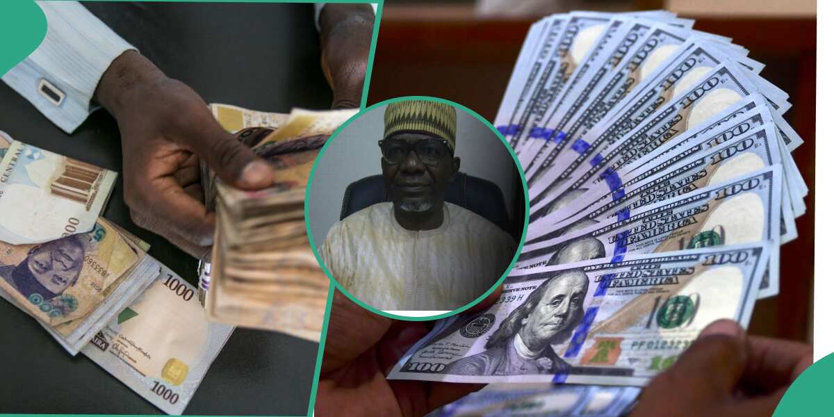 Bdcs Explains Role Of Politicians Wealthy Nigerians In Naira Fall As