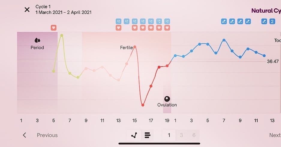 Safe Days To Avoid Pregnancy How To Calculate Before And After Periods