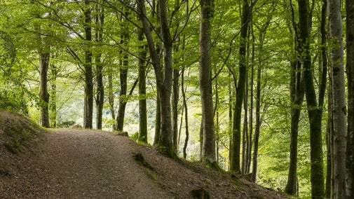 Visiting Heddon Valleys Estate Devon National Trust