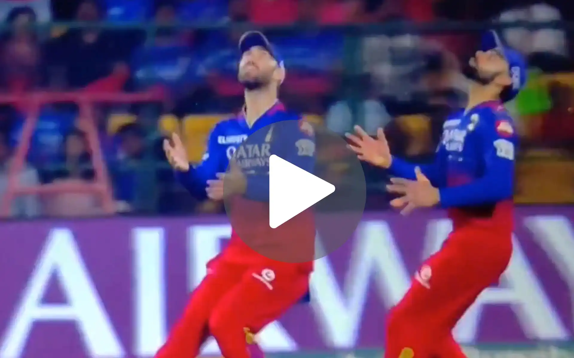 Watch Virat Kohli Glenn Maxwell Almost Collided While Taking