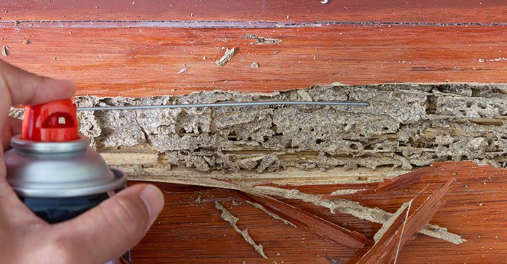 Termites Prevention Tips Pre Construction Termite Treatment