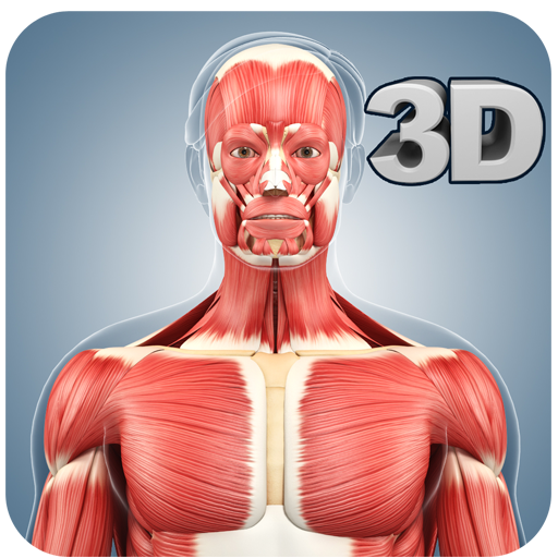 App Insights Muscle Anatomy Pro Apptopia