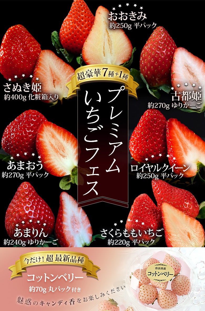 【1月15日いちごの日】最盛期を迎えた苺の魅力をもっと伝えたい！全国の産地から厳選し8種類を一度に食べ比べできる「プレミアムいちごフェス