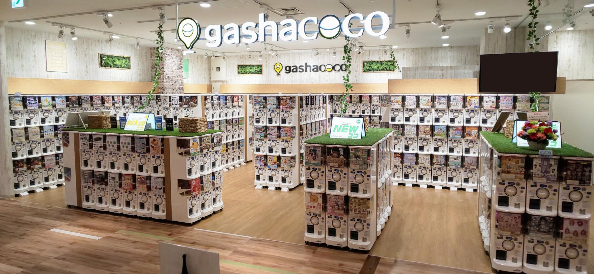 カプセルトイ専門店『gashacocoガシャココ』4月28日（木）グランドオープンの新商業施設カメイドクロック内に新店オープン