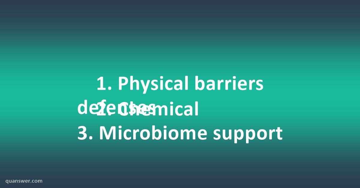 1 Physical Barriers 2 Chemical Defenses 3 Microbiome Support Quanswer