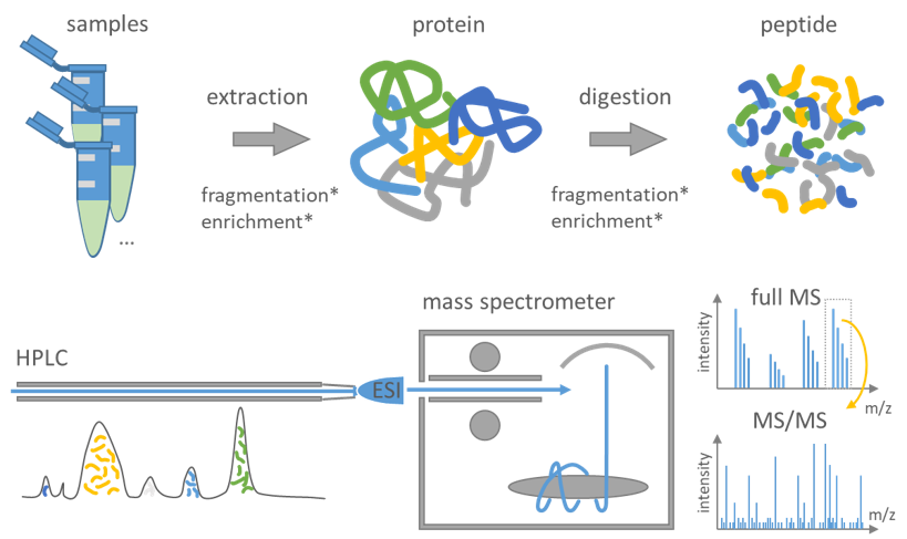 Nb02a Mass Spectrometry Based Proteomics