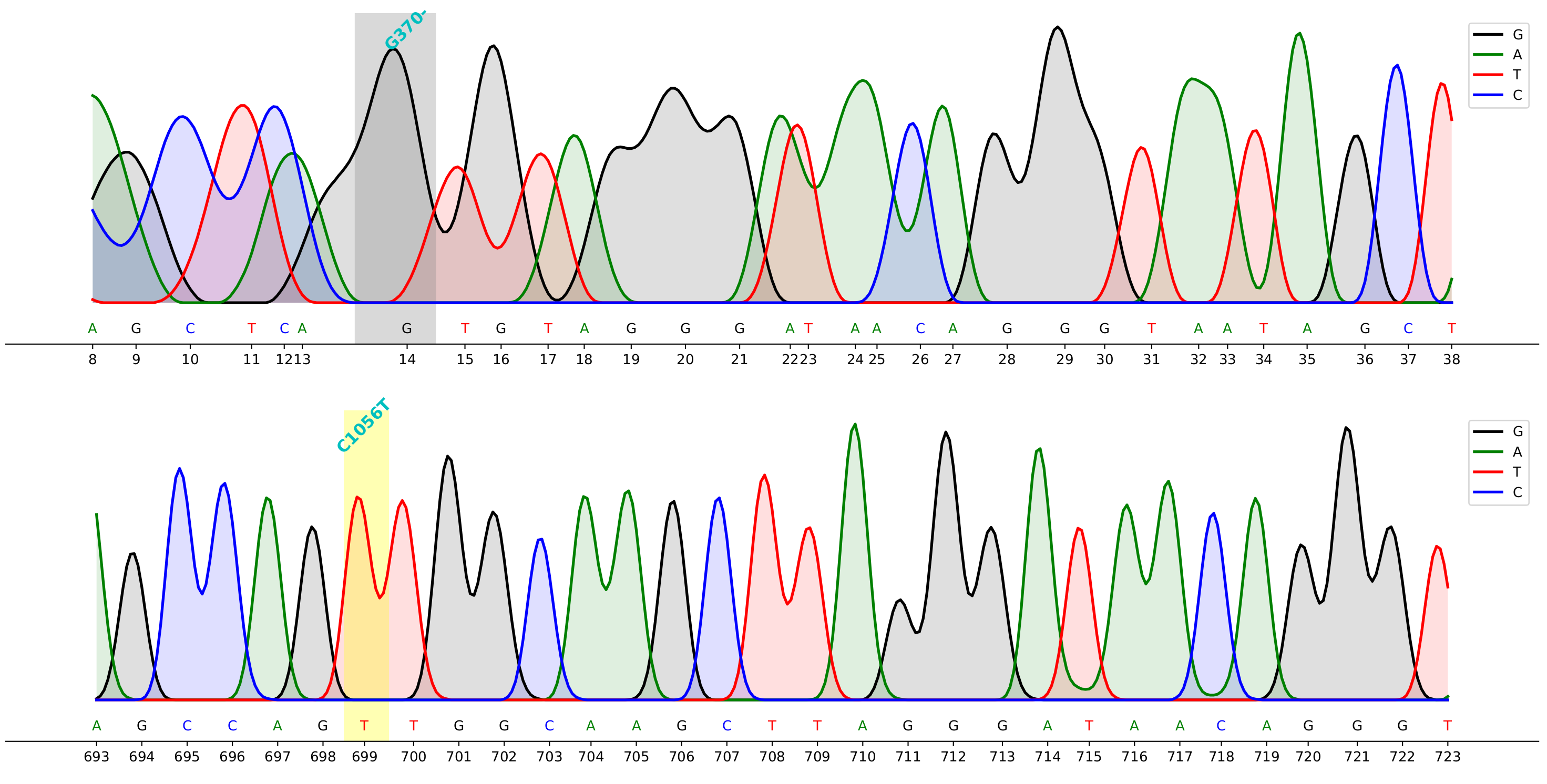 Sequencing Chromatogram