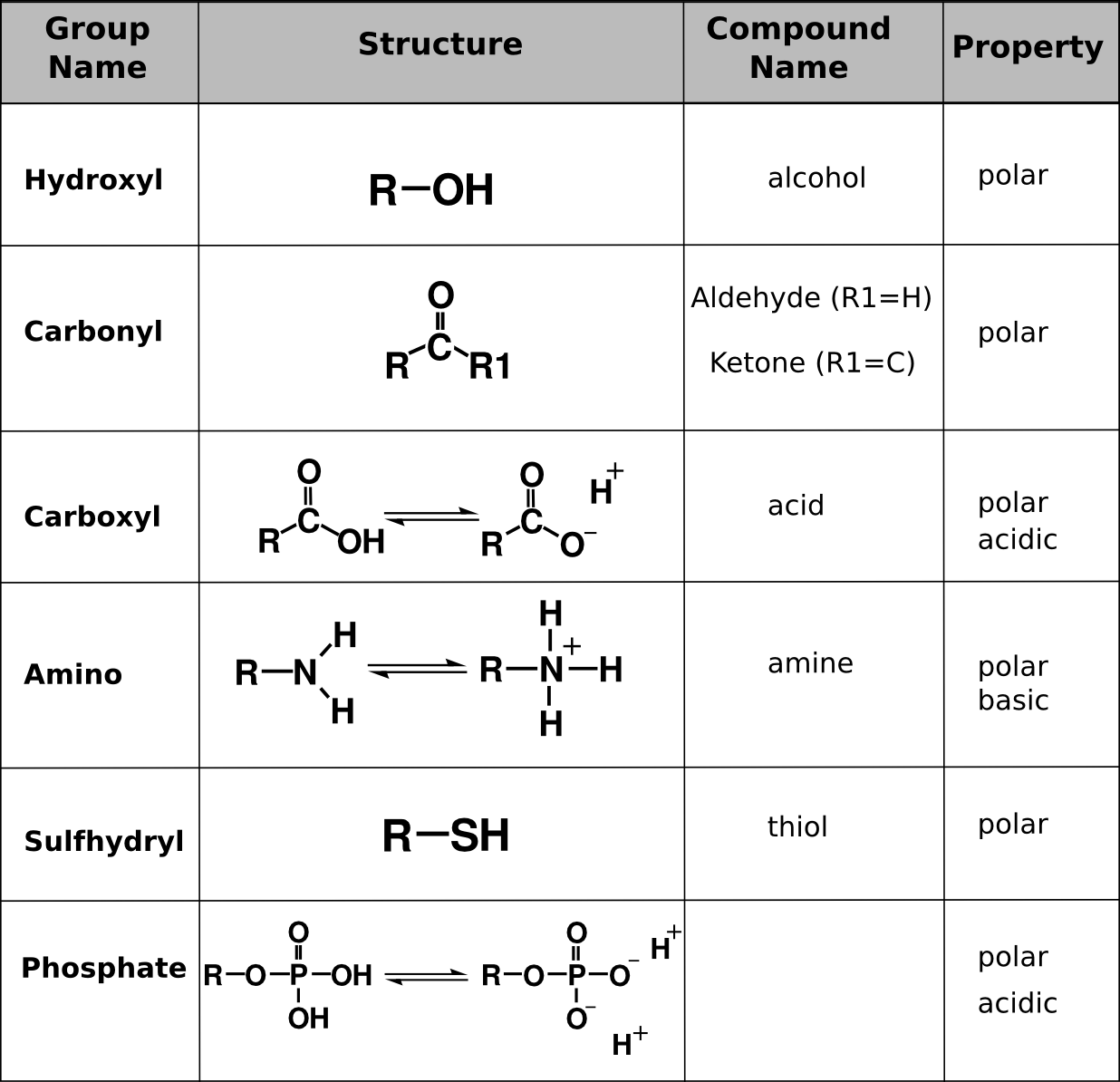 6 Organic Chemistry Openstax Biology