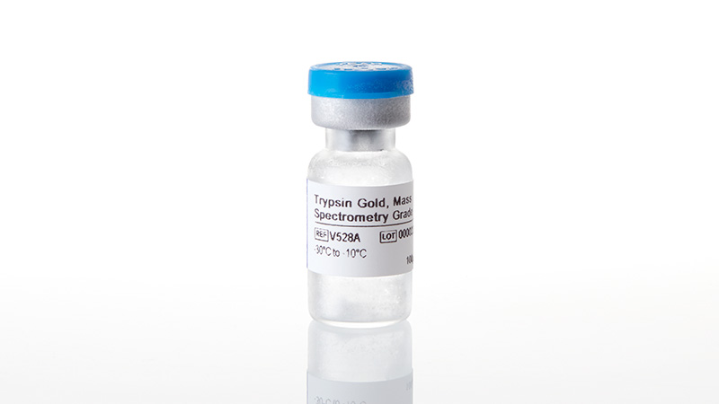 Trypsin Gold Mass Spectrometry Grade Trypsin Digestion