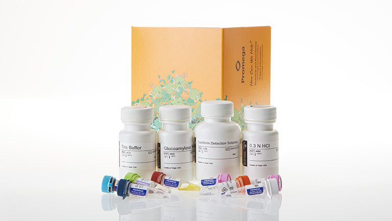 Glycogen Glo Assay Glycogen Assay Kit