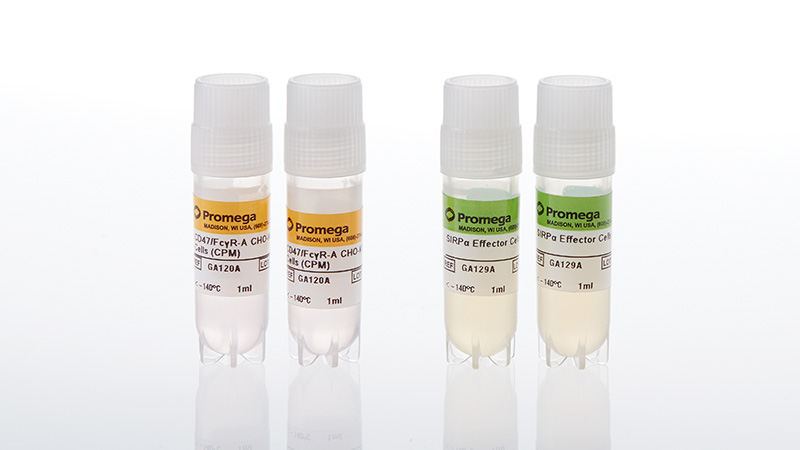 Sirpαcd47 Blockade Bioassay