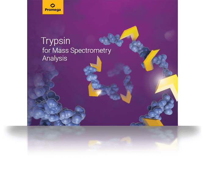 Trypsin