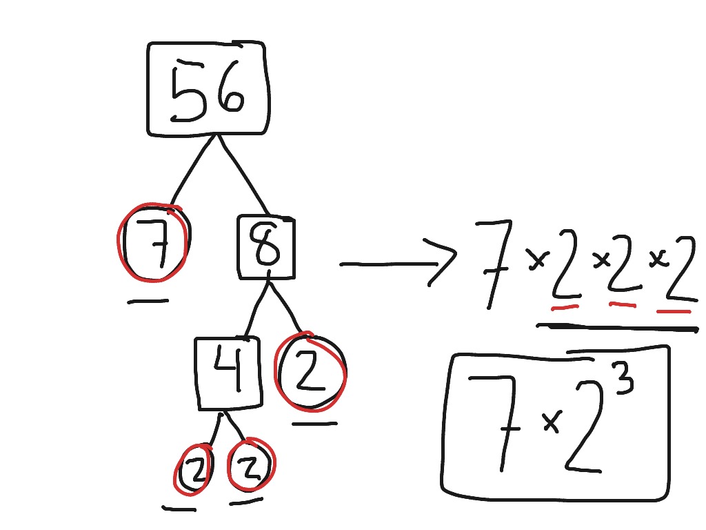 Prime Factorization Math Prime Factorization Showme