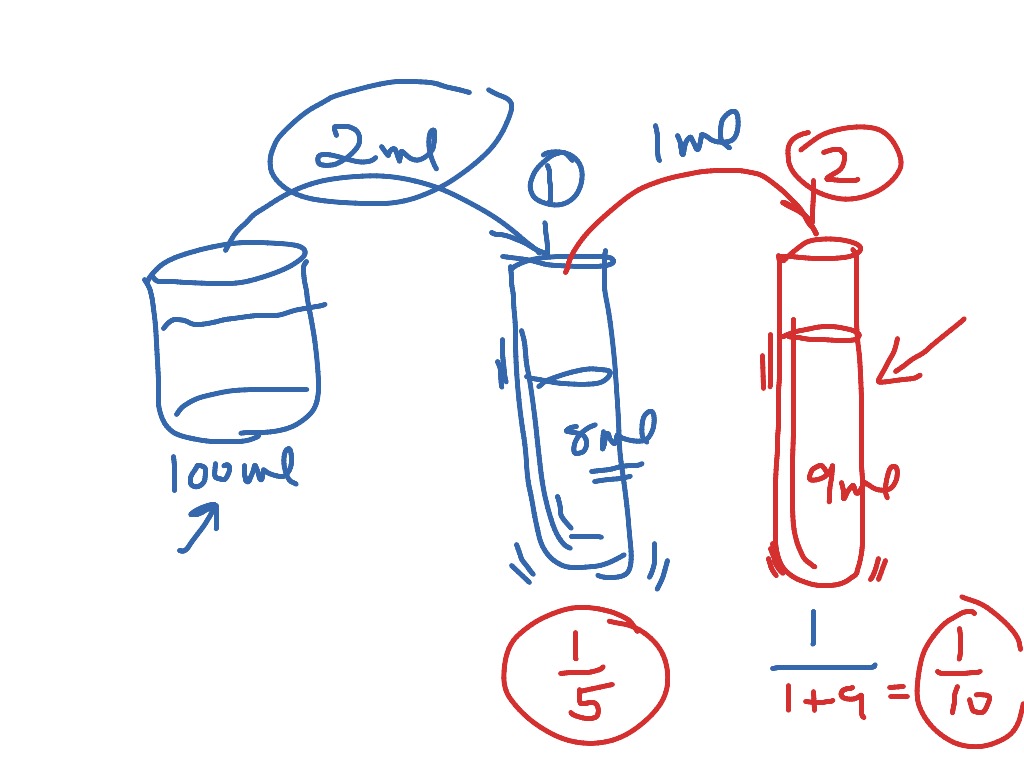 Calculate The Dilution Factor For Each Tube Showme