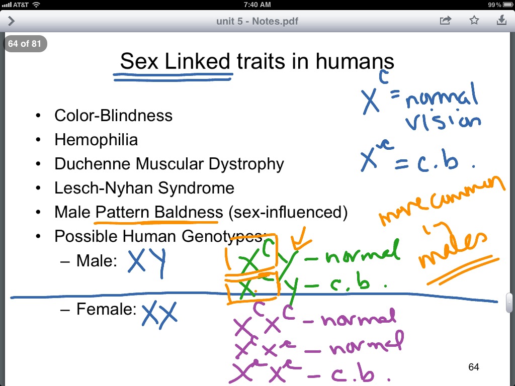 Genetics 11b Examples Of Sex Linked Genes In Humans Science Showme