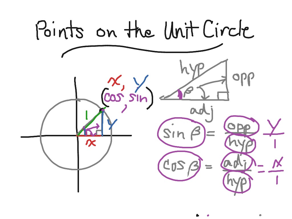 Points On Unit Circle Showme