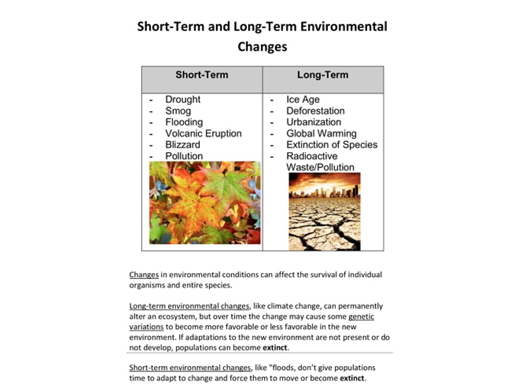 Short Term Vs Long Term Environmental Impacts Science Showme