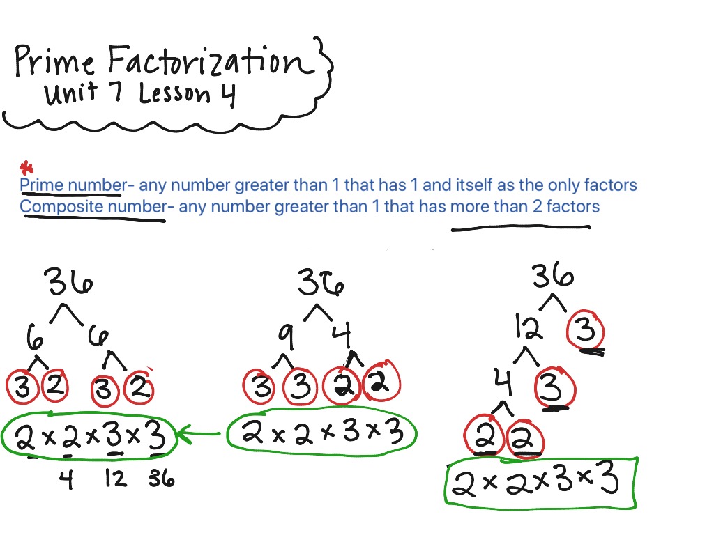 Prime Factorization Math Showme