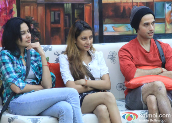 Bigg Boss Saath 7 Day 43 Synopsis Kamya Andy Pratyusha Gauahar