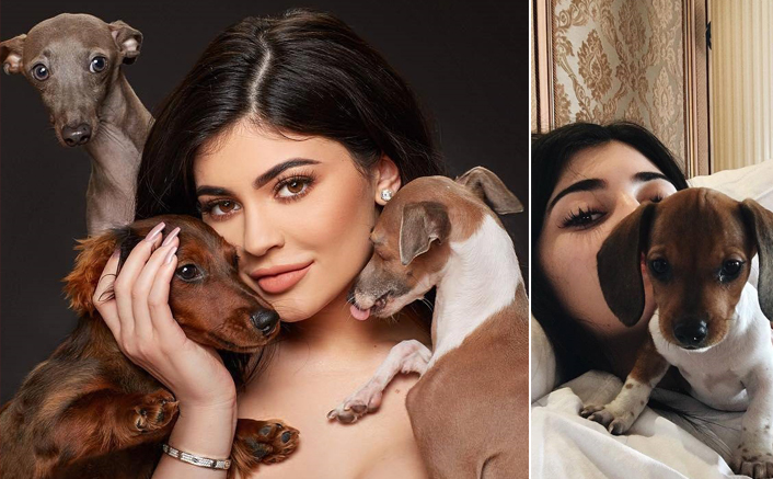 Kylie Jenner Has 8 Doggos And An Exclusive Dog Mansion For Them