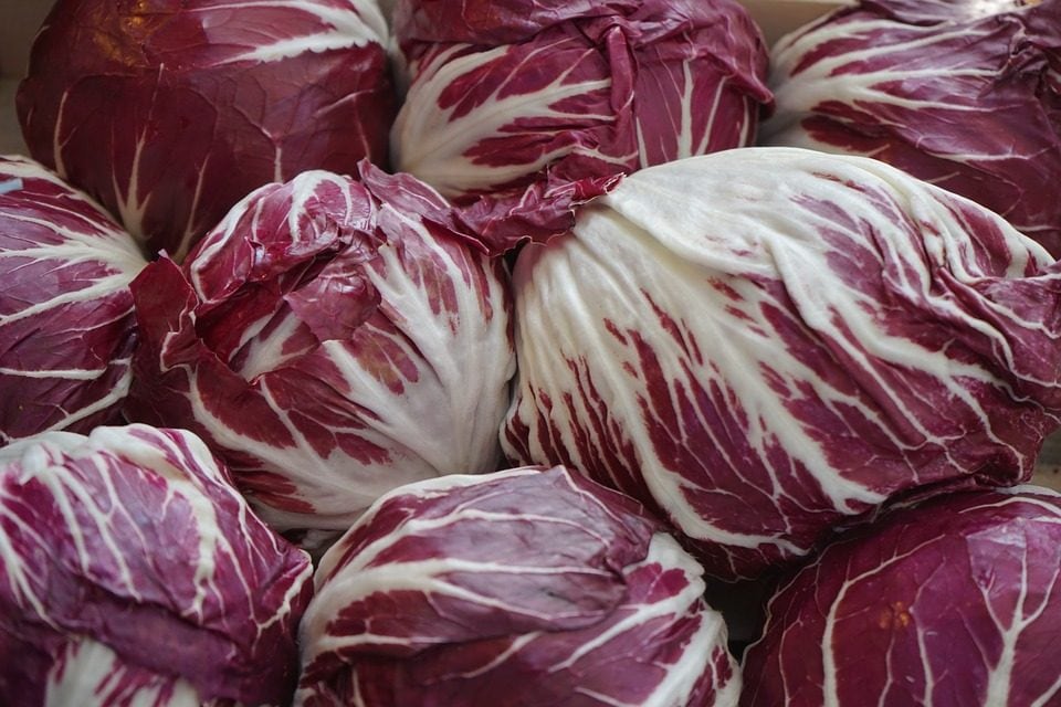 Radicchio Proprietà Nutritive Benefici E Utilizzi