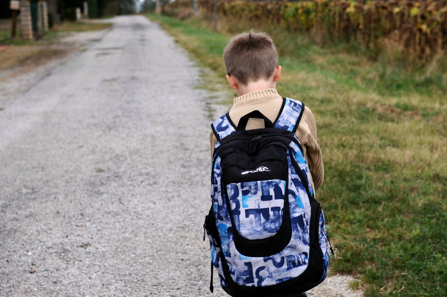 Tagliata Assistenza Scolastica A 250 Bimbi Disabili Ad Ardea Un Papà